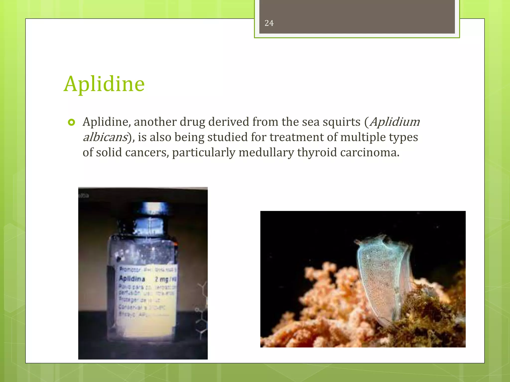 Drugs from animal | PPTX