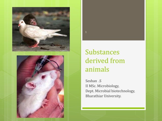 Drugs from animal | PPTX