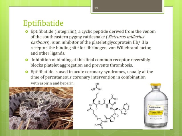 Drugs from animal | PPTX