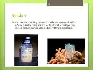 Drugs from animal | PPTX