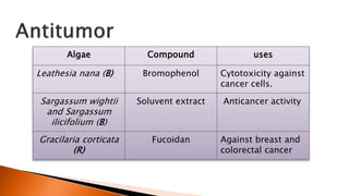 Drugs from marine algae | PPTX