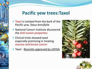 Drugs from plants extraction, purification & analysis. | PPTX