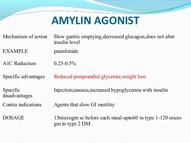 Amylin Mechanism Of Action