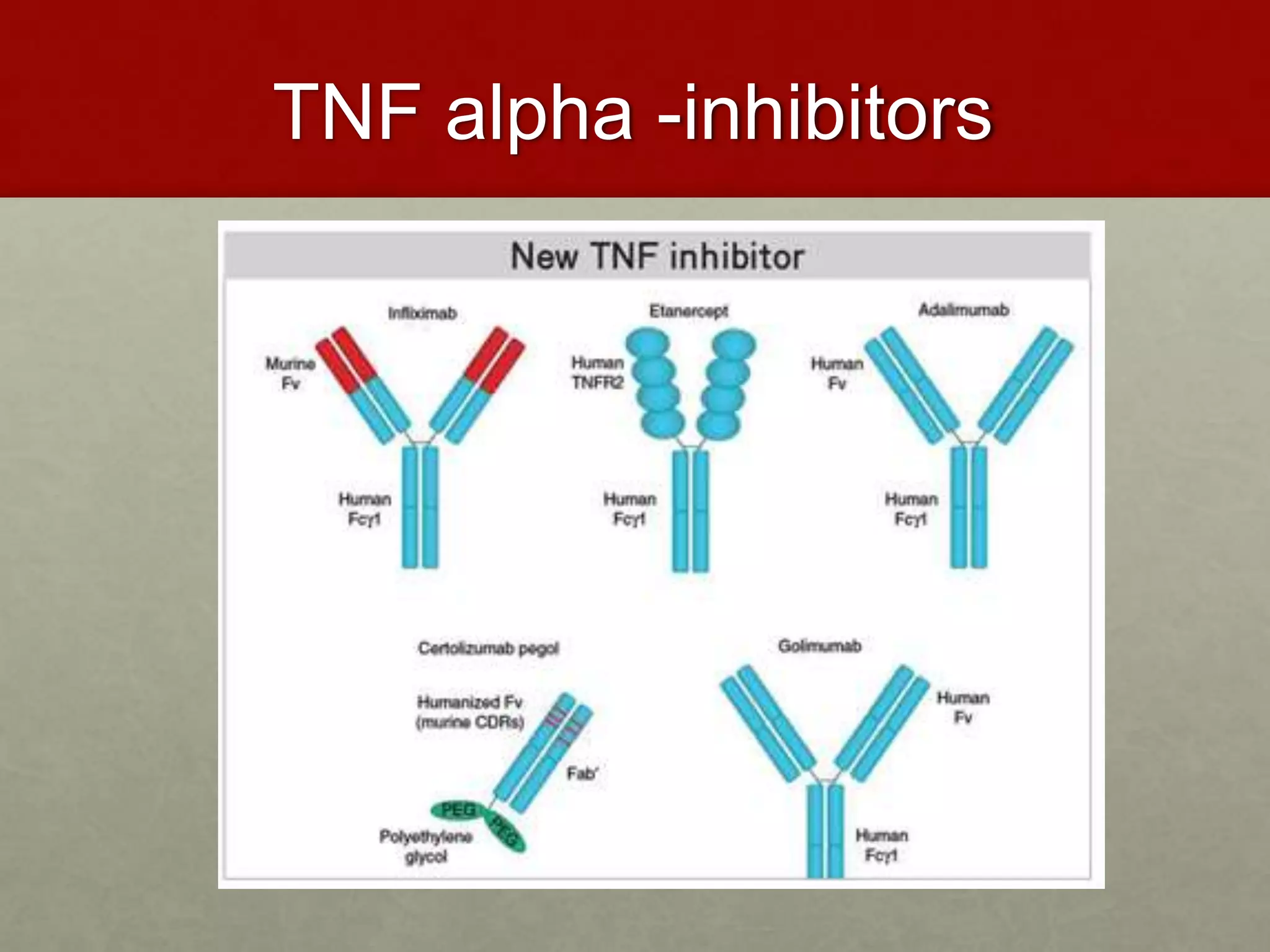 Drugs in rheumatology | PPTX