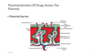 Drugs & Medications In Pregnancy.pptx