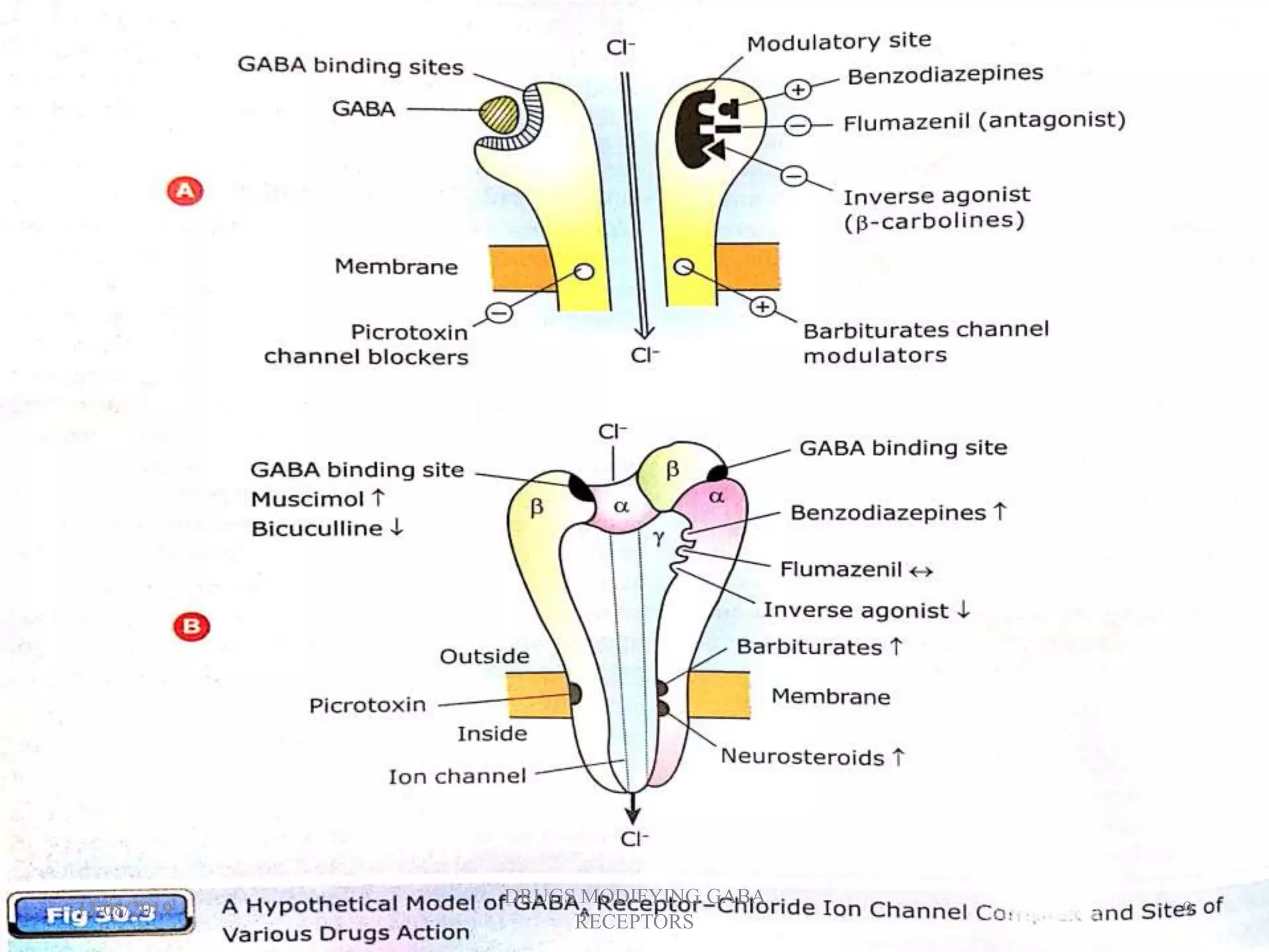 Drugs modifying GABA receptors | PPTX