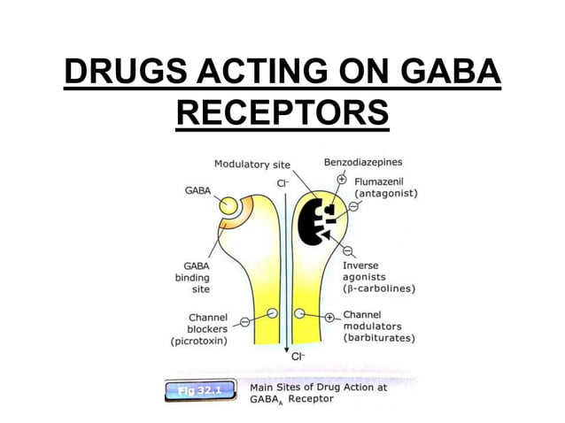 Drugs modifying GABA receptors | PPTX