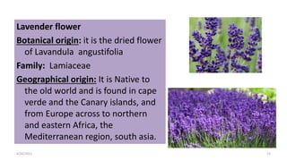 Drugs obtained from flower, medicinal plants | PPTX