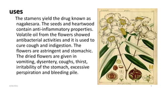 Drugs obtained from flower, medicinal plants | PPTX