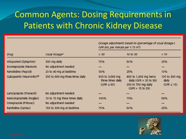 Drugs Prescription in Hemodialysis Patients Dr. Tarek Mohamed El ...
