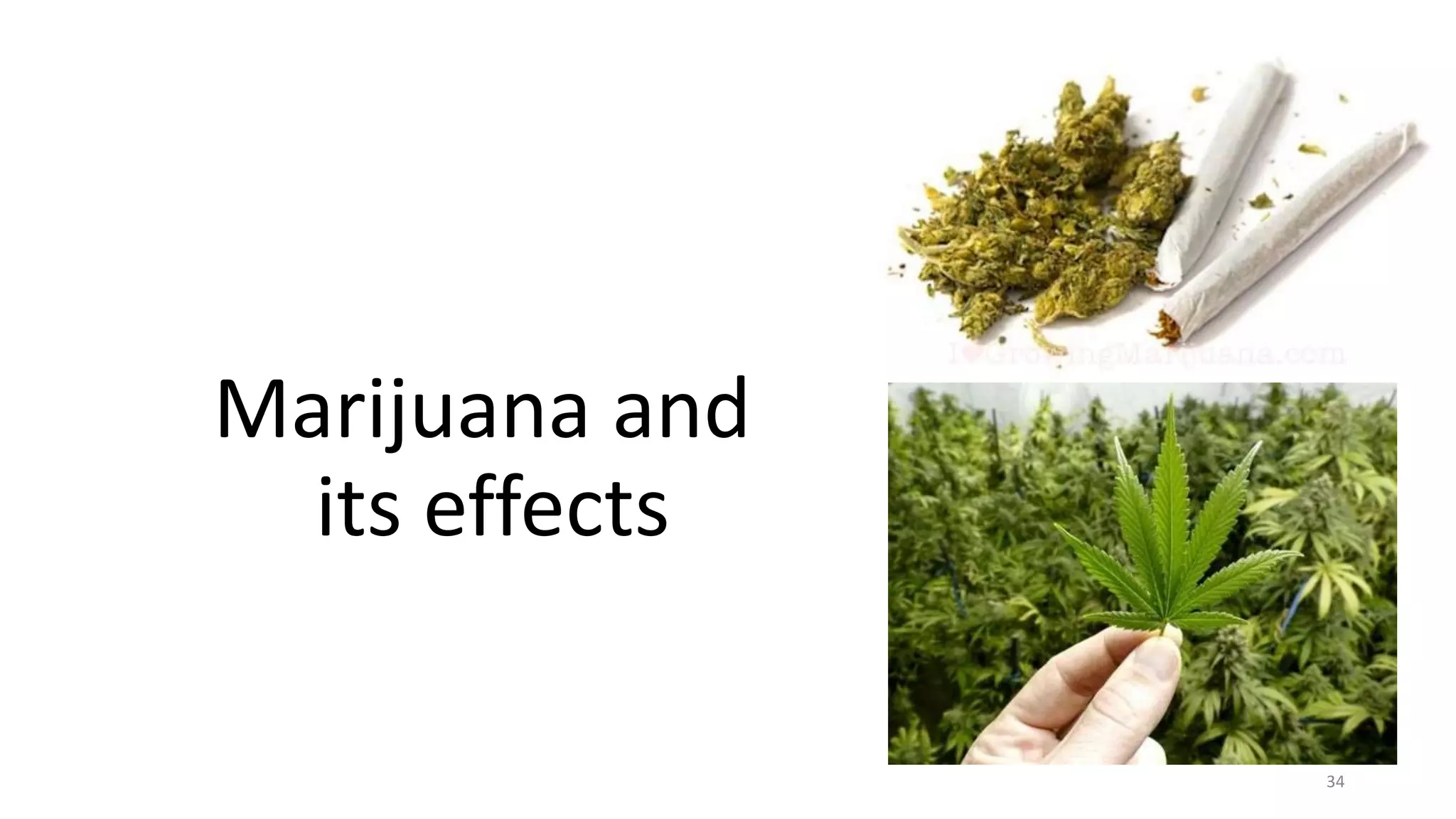 Drugs and their effects | PPTX