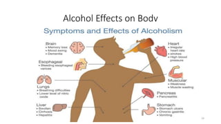 Stimulants Effects On The Body