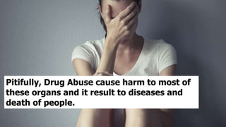 Drug, Body and Brain | PPTX
