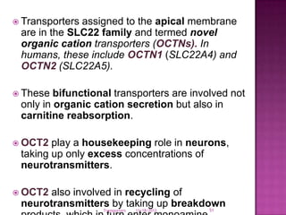 Drugs transporters | PPTX