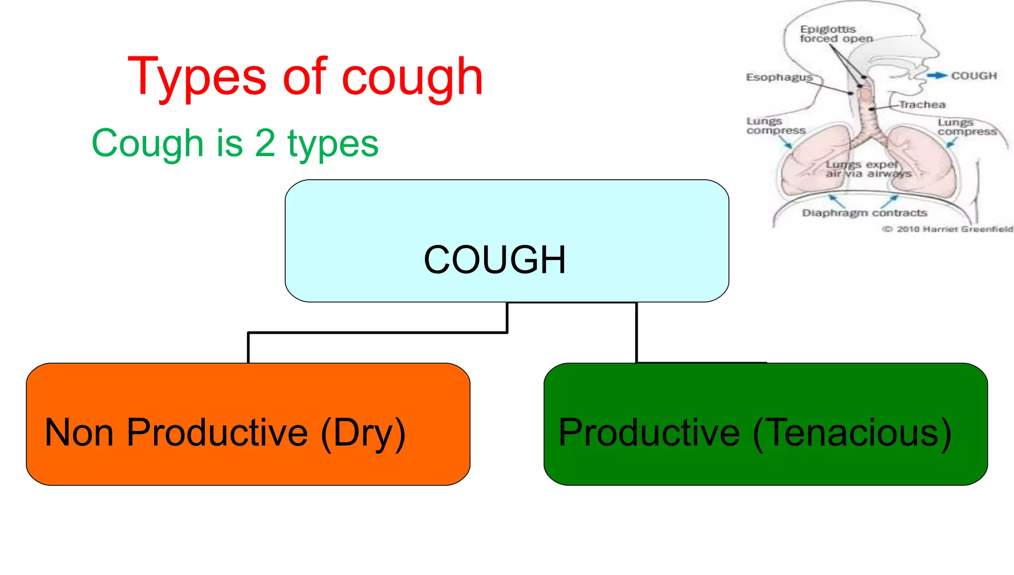Drugs used for cough | PPTX
