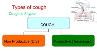 Drugs used for cough | PPTX | Lung and Respiratory Health | Diseases ...