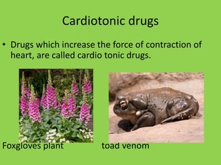 Drugs used for CVS disease | PPTX | Heart and Cardiovascular Diseases ...