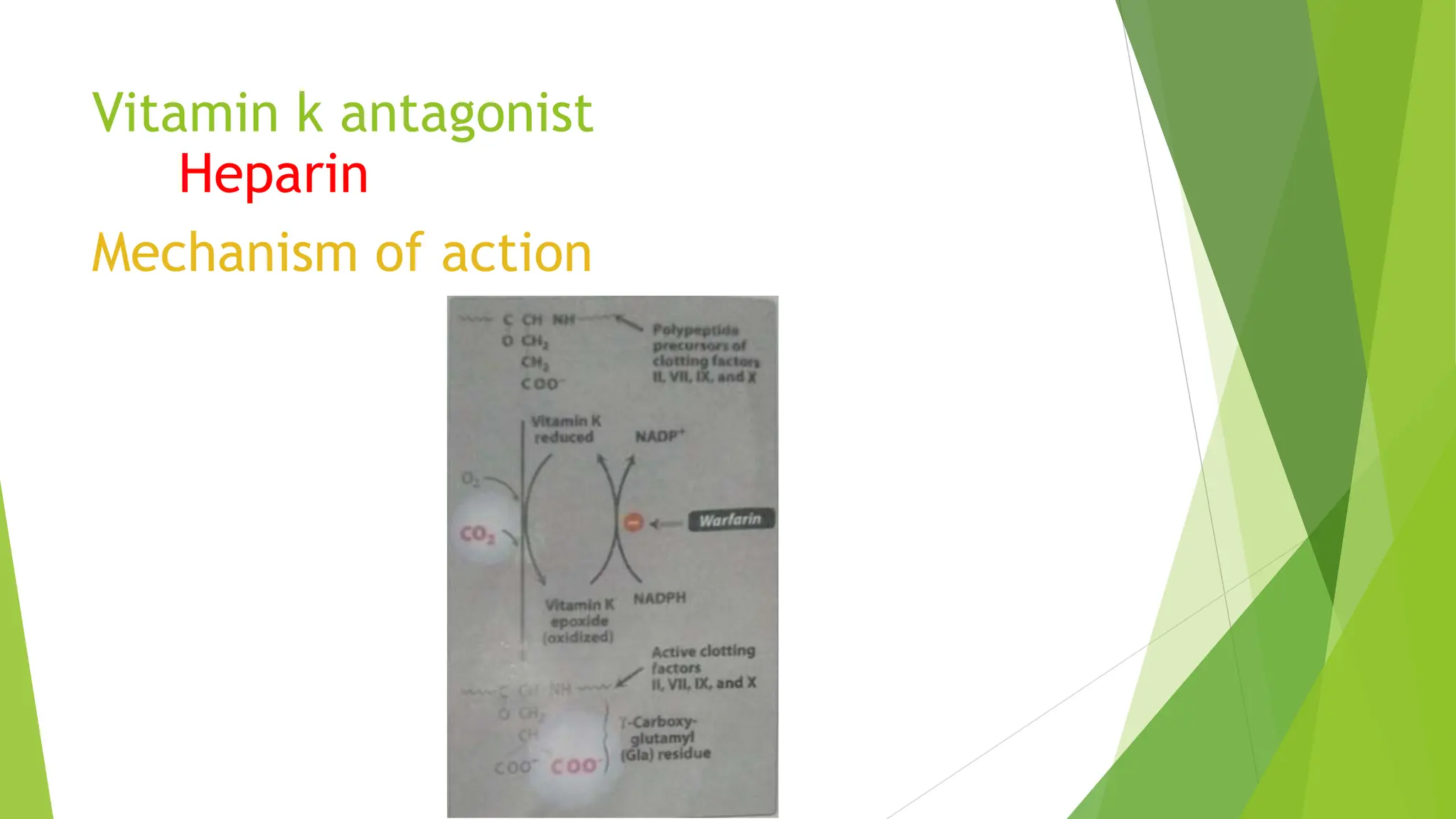 drugs used for the treatment of blood clot.pptx