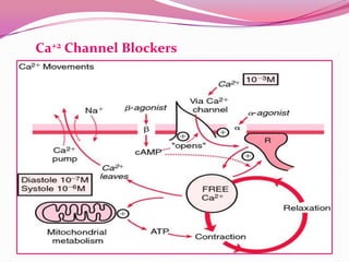 Drugs used for the treatment of myocardial ischemia | PPTX