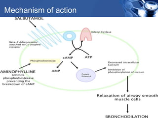 Drugs used in asthma | PPTX