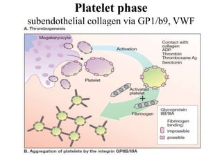 Drugs used in blood disorders by pharm bash | PPTX