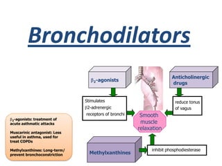 Drugs used in bronchial asthma | PPTX