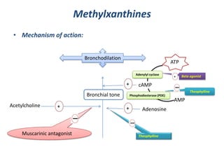Drugs used in bronchial asthma | PPT