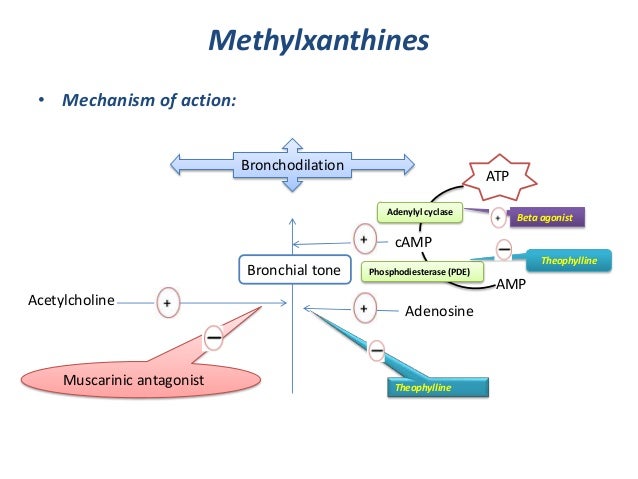 Drugs used in bronchial asthma