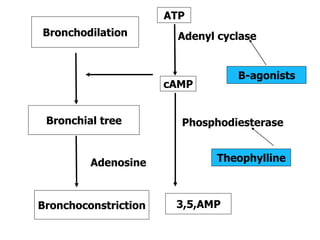 drugs used in bronchial asthma & COPD.ppt