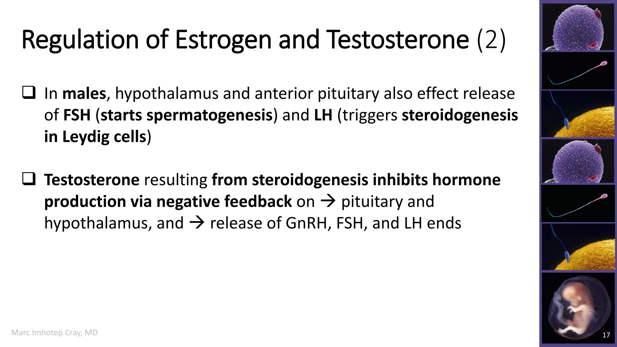 Drugs Used In Disorders of the Reproductive System | PDF