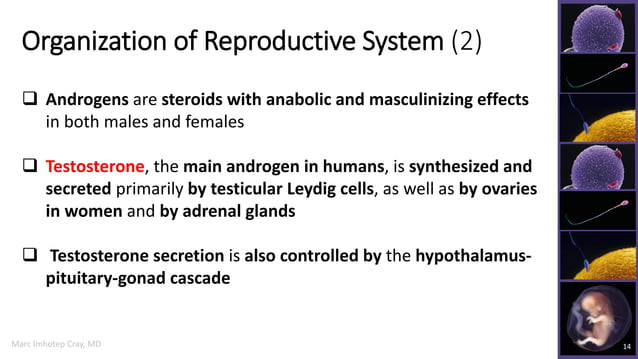 Drugs Used In Disorders of the Reproductive System | PDF