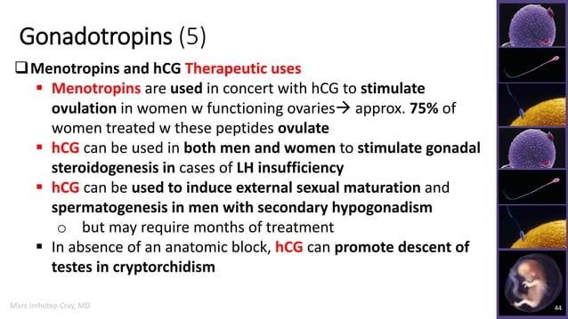 Drugs Used In Disorders of the Reproductive System | PDF