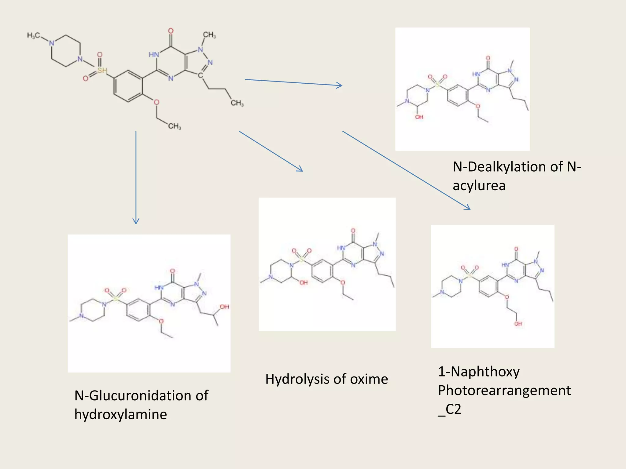 Drugs used in endocrine system updated.pptx