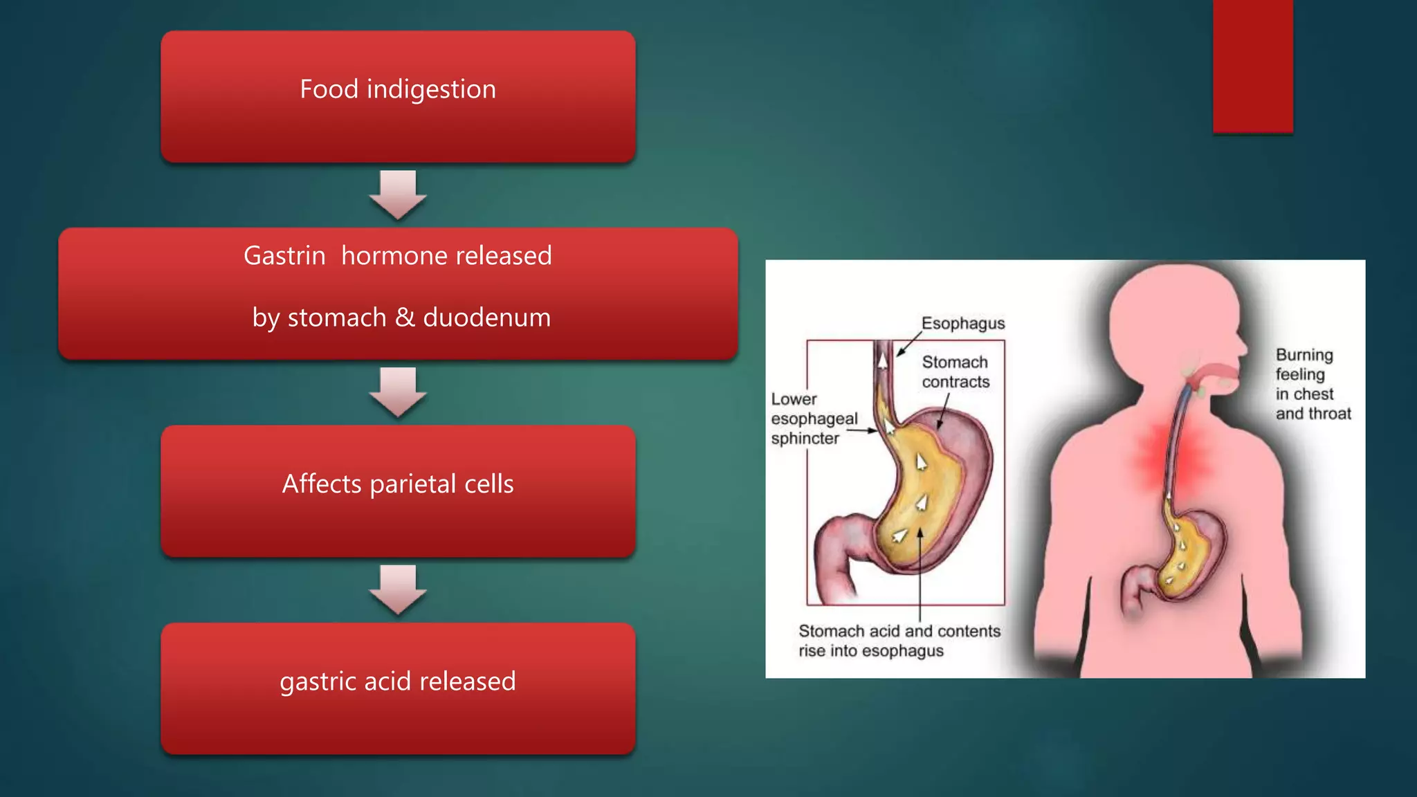 Drugs used in gastrointestinal system | PPTX