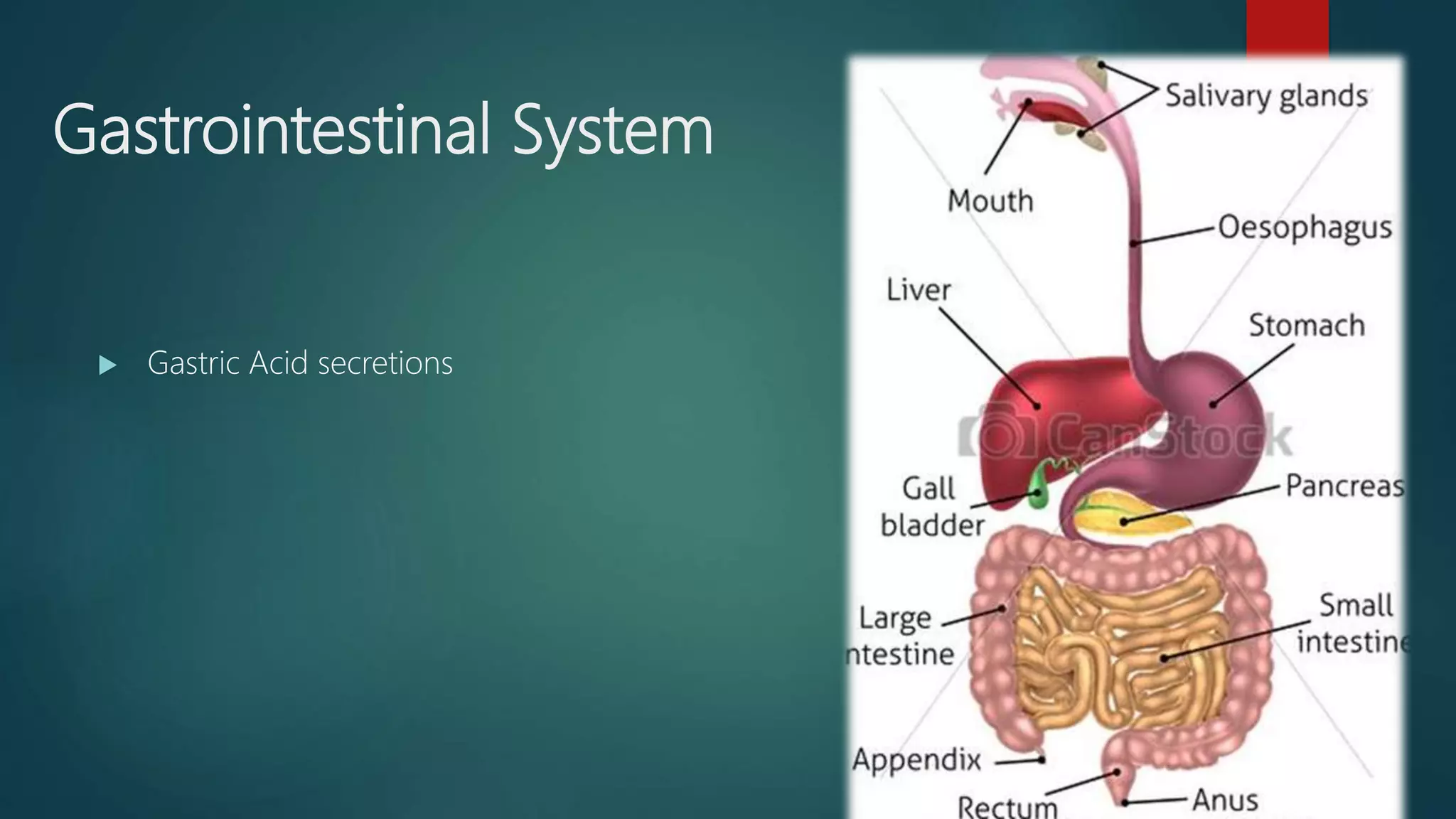 Drugs used in gastrointestinal system | PPTX