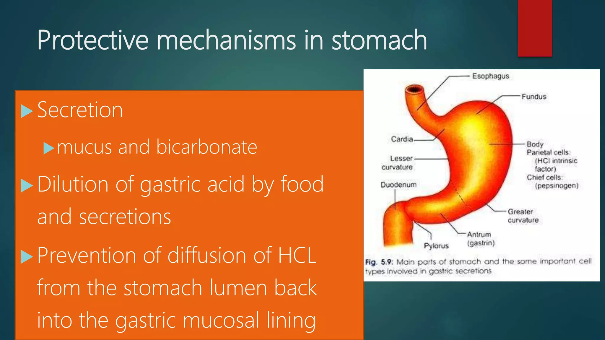 Drugs used in gastrointestinal system | PPTX