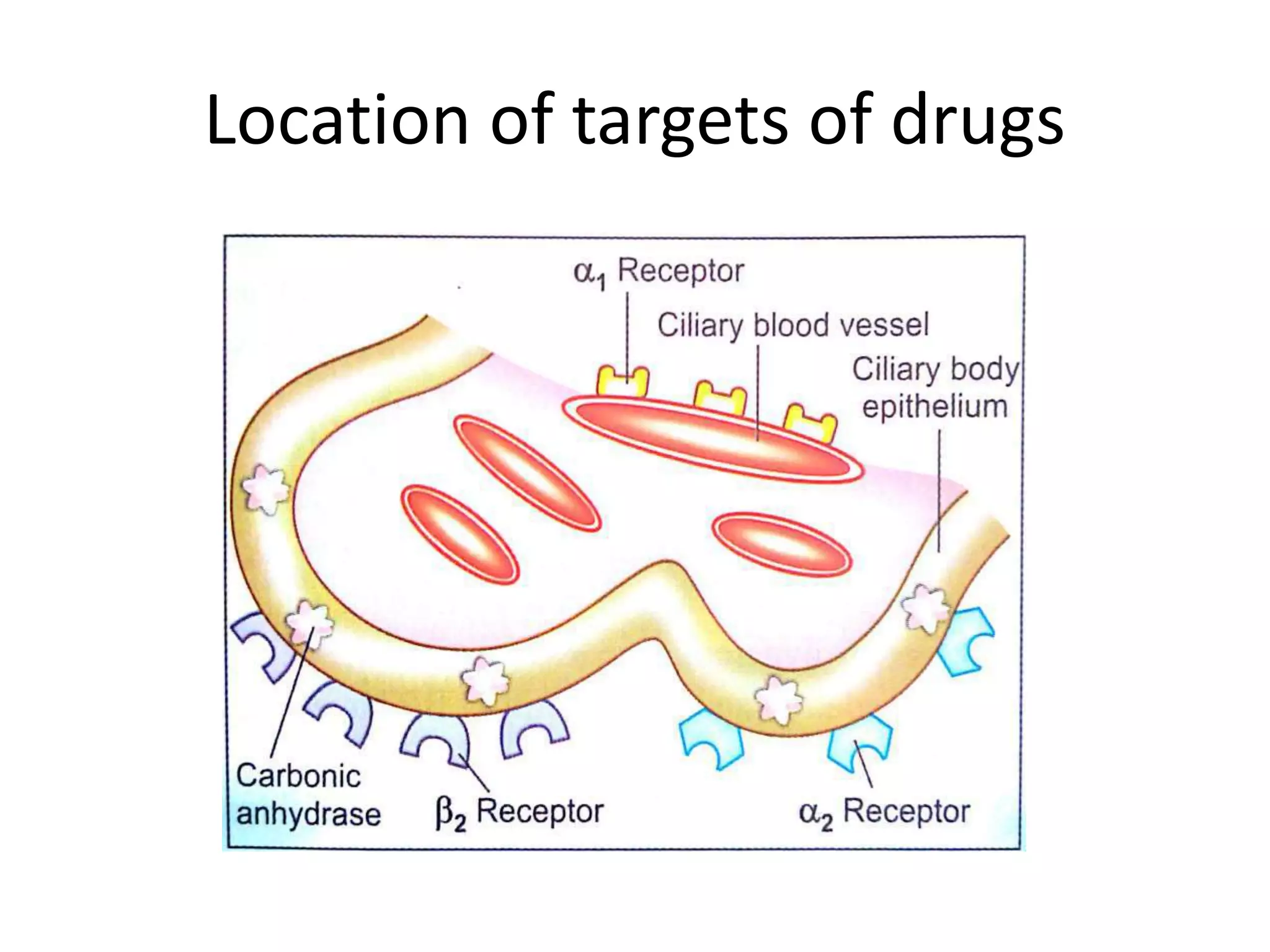 Drugs used in glaucoma | PPT