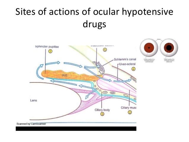 Drugs used in glaucoma