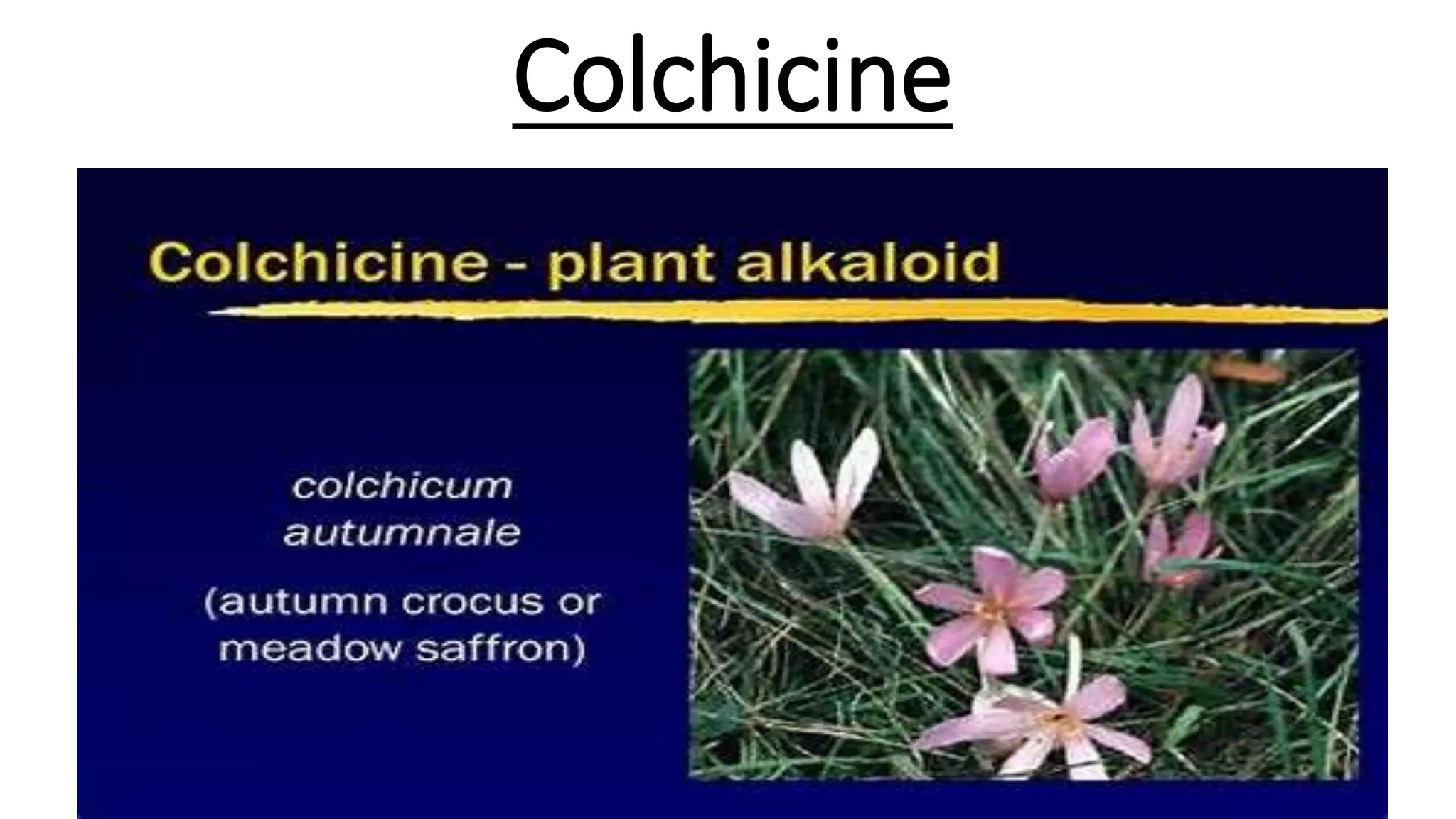 Drugs used in gout | PPTX