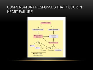 Drugs used in Heart Failure | PPT