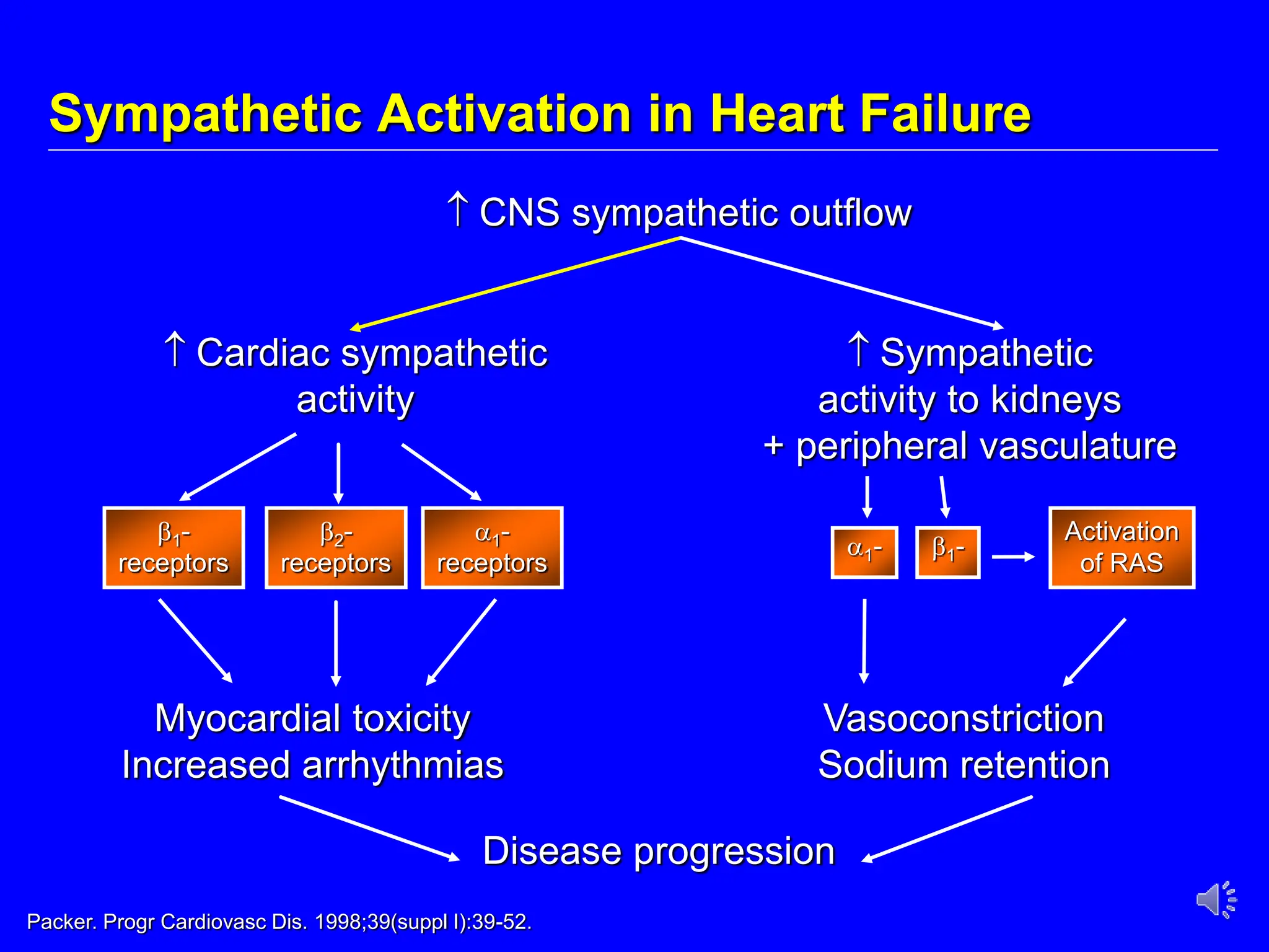 Drugs used in heart failure.powerpoint ppt | PPT