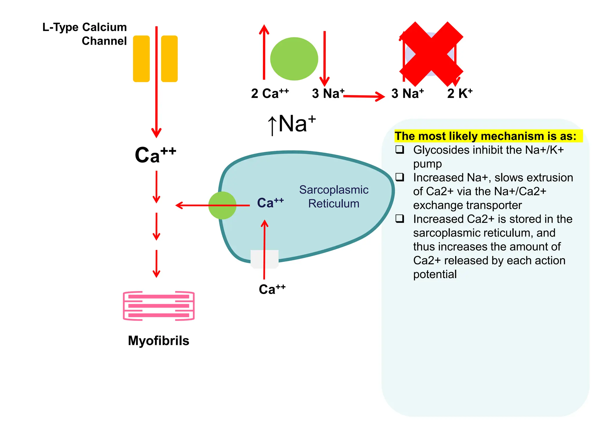 Drugs used in heart failure.powerpoint ppt | PPT