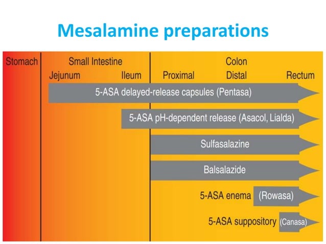 Drugs used in IBD (Pharmacology).pptx