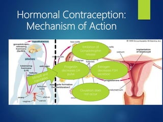 Drugs used in maternal health 2017 | PPTX