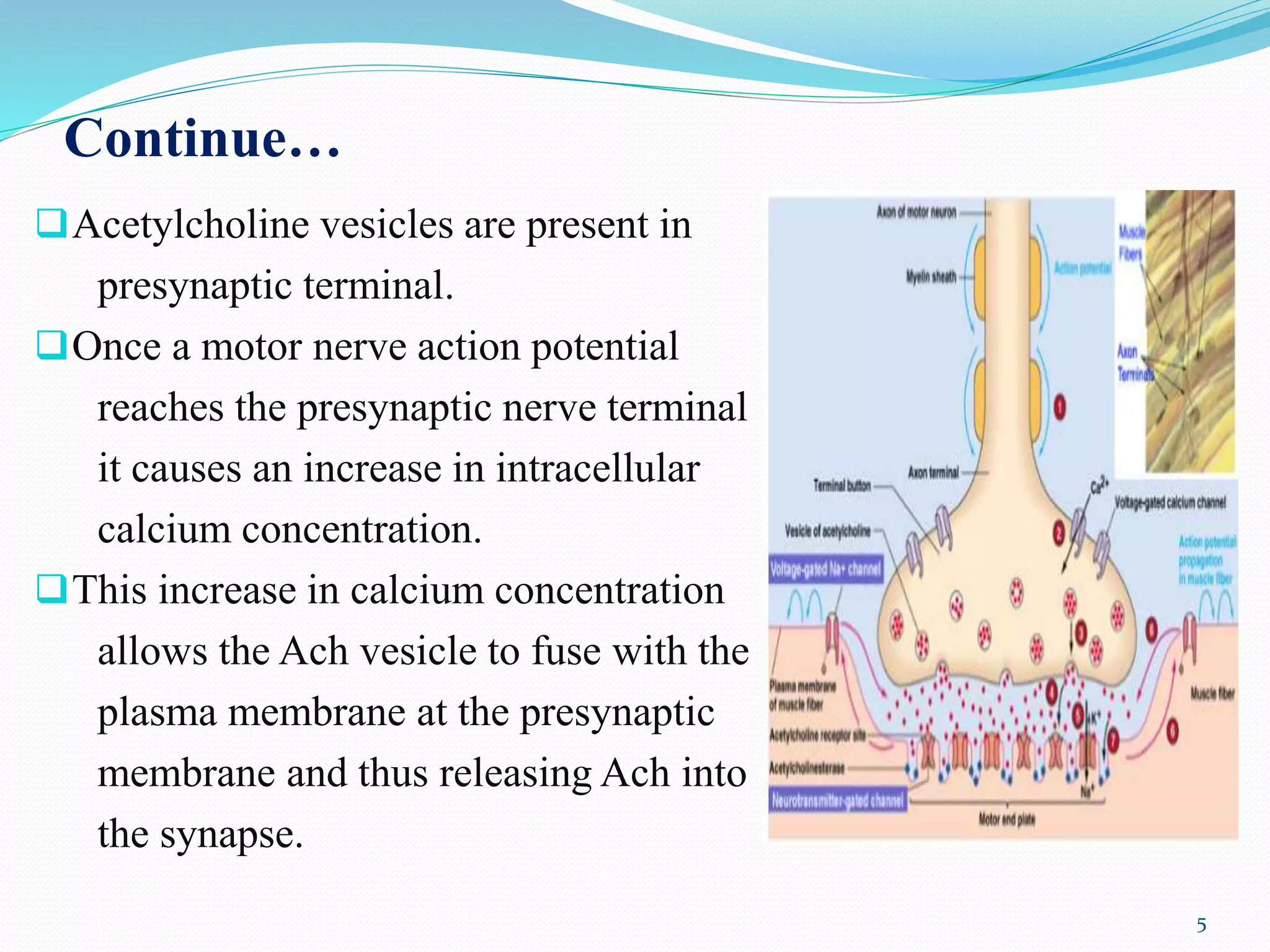 Drugs used in myasthenia gravis and galucoma | PPTX