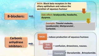 Drugs used in ocular pharmacology | PPTX