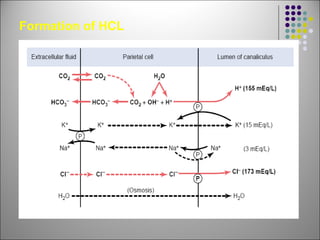 Drugs used in peptic ulcer | PPT