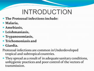 Drugsusedinprotozoalinfections | PPTX | Infectious Diseases | Diseases ...