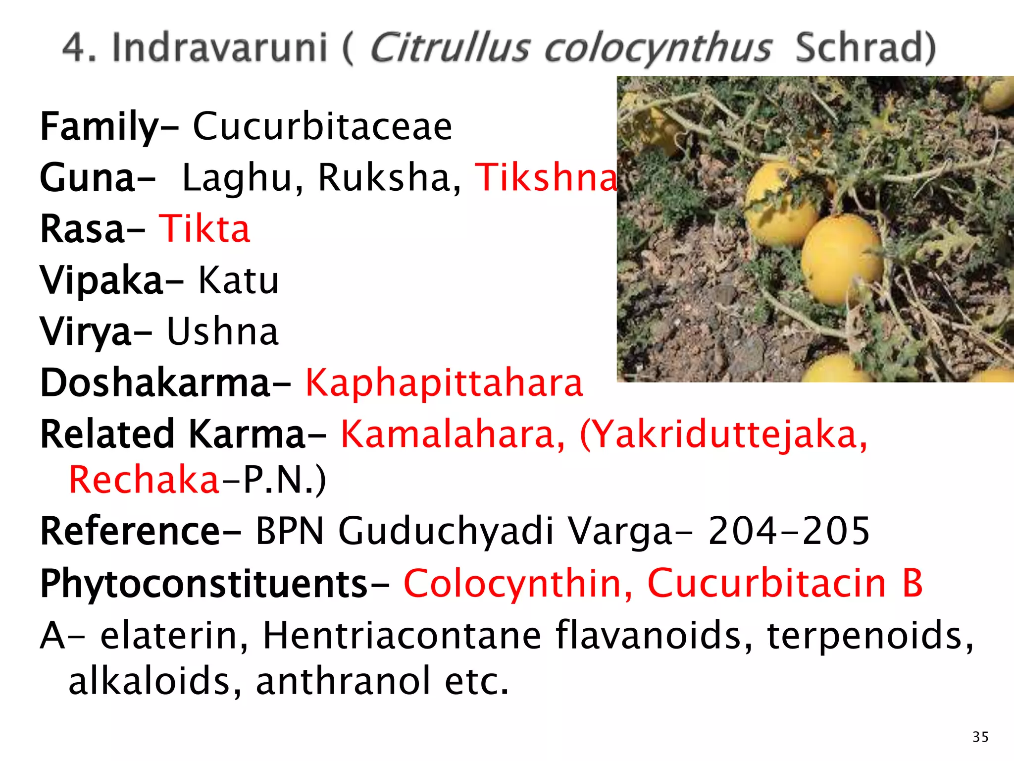 Drugs used in yakrit vikara( liver diseses) | PPTX