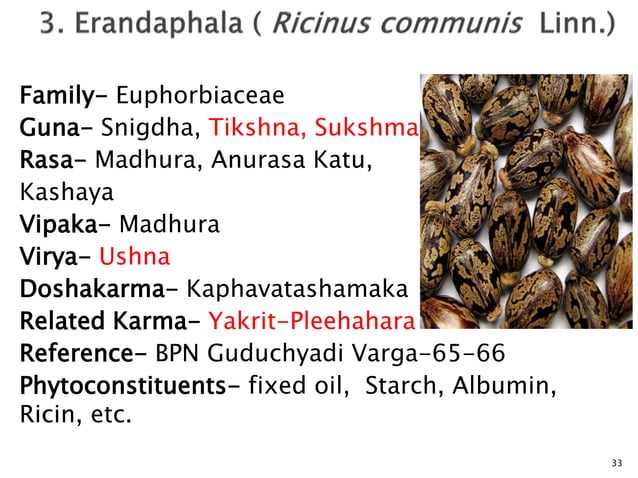 Drugs used in yakrit vikara( liver diseses) | PPTX
